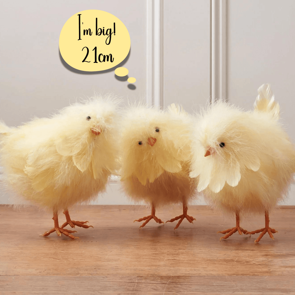 Discover a wide range of stylish gifts for everyone at Peppy and Sage ...